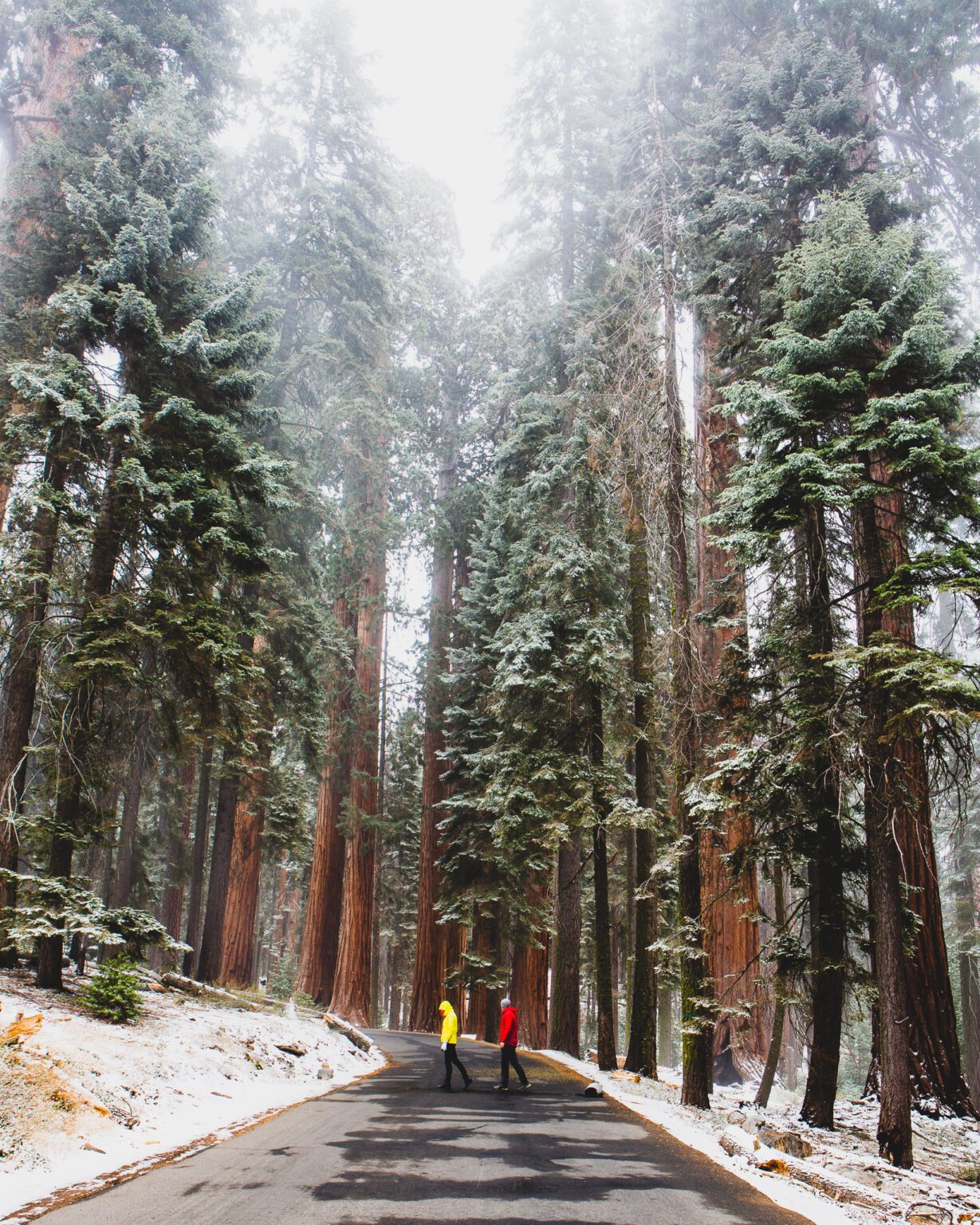 2021 Holiday Gift Guide for the Adventure Lover - The Lovers Passport