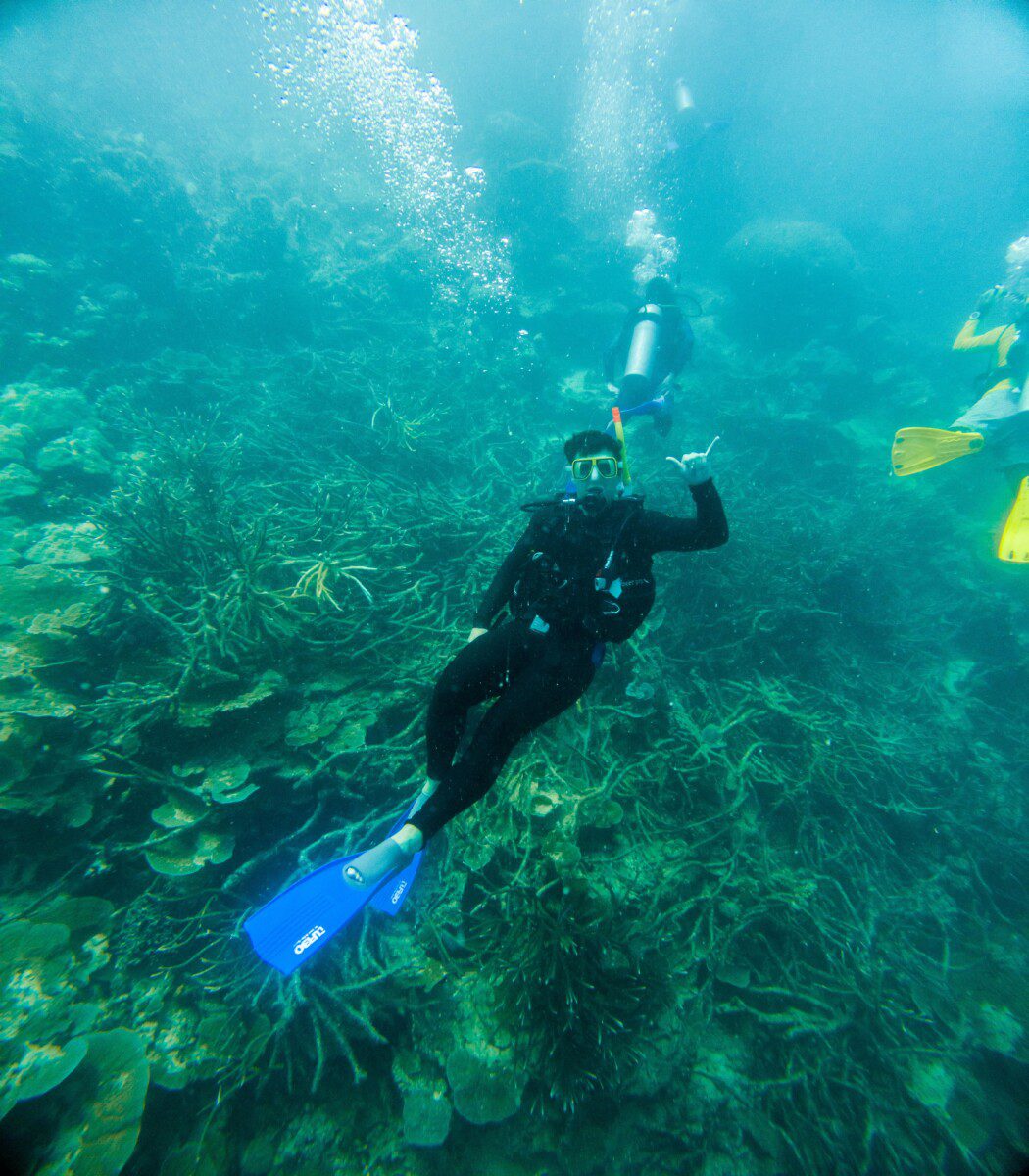 The Best of the Whitsundays: Hamilton Island Guide