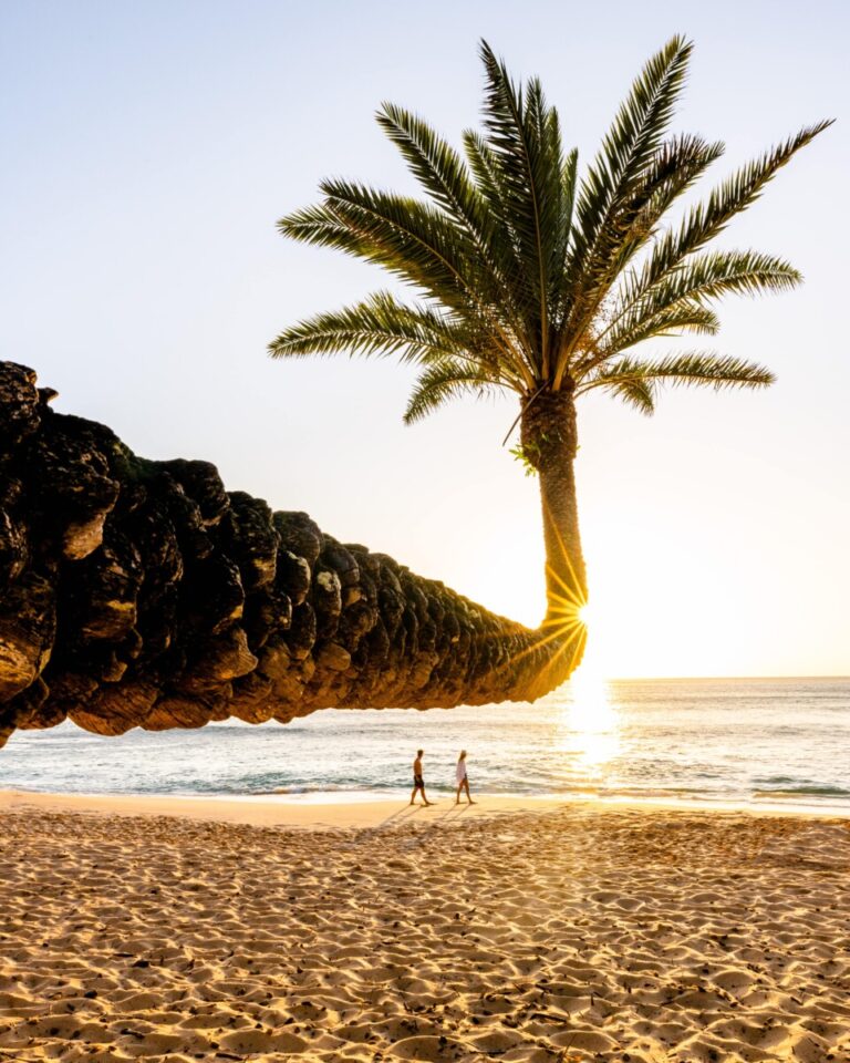 The Best of Each Hawaiian Island: Top Hawaii Highlights
