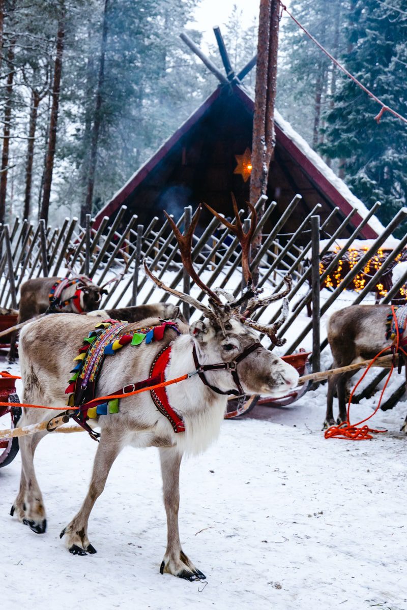 10 Most Popular Activities in Rovaniemi in the Winter