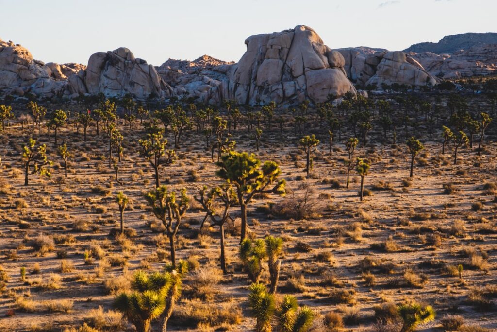 Best Places to Visit in California During Fall and Winter