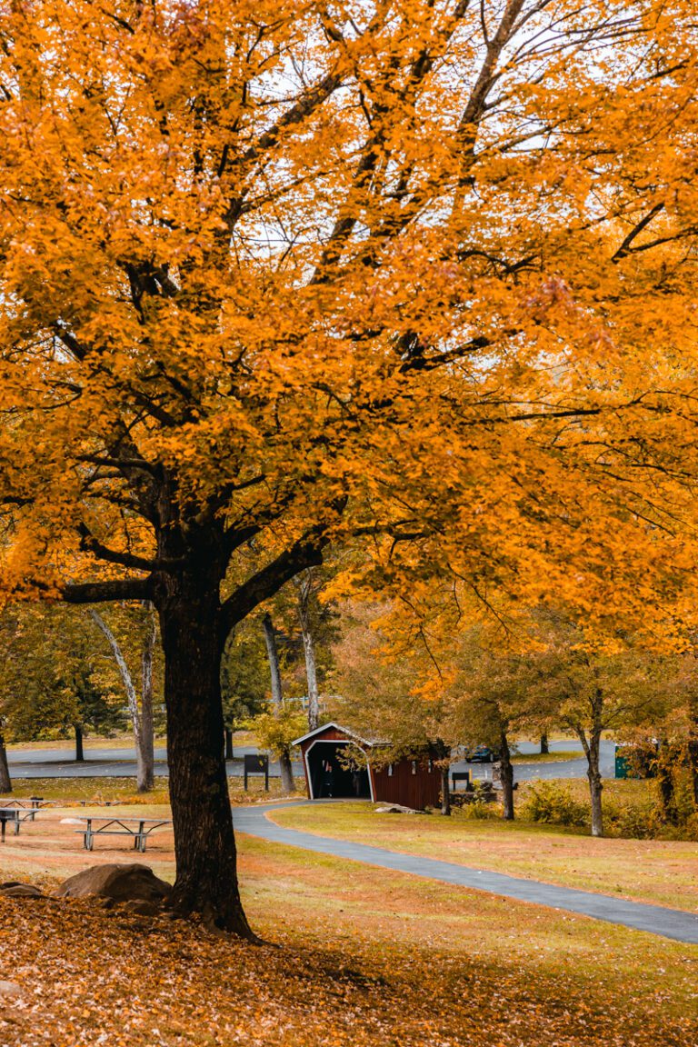 Ultimate Connecticut Fall Foliage Road Trip Guide