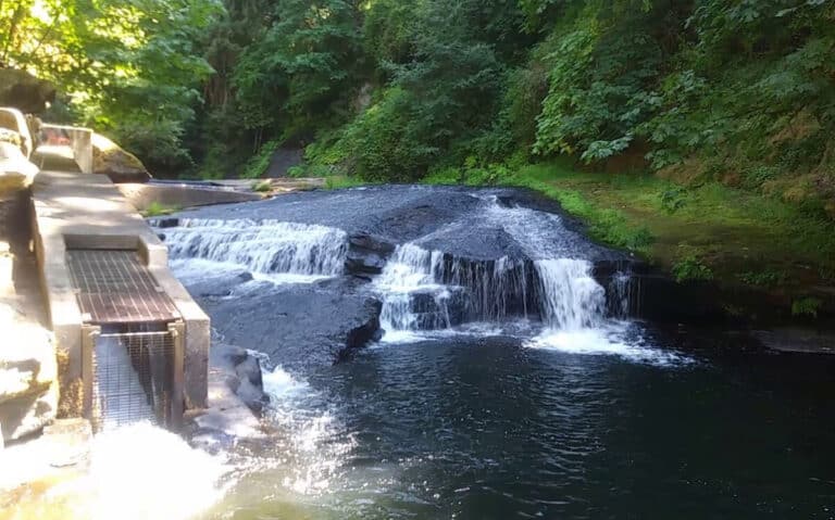 Discover the Hidden Gem: Triangle Lake Slide Rock, Oregon