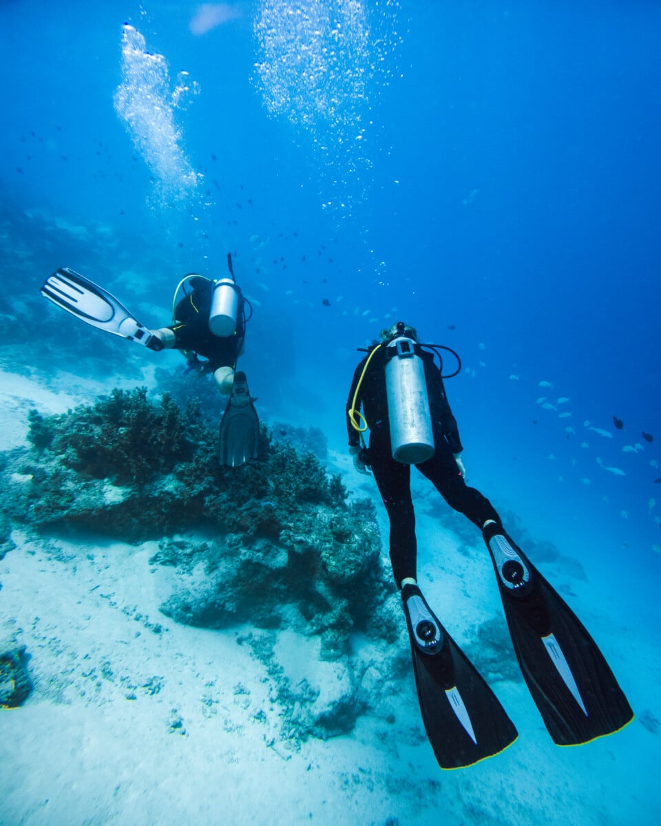 Ultimate Travel Guide to Moorea: French Polynesia's Most Underrated Island