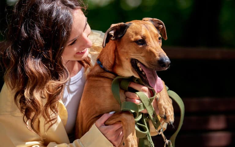 Flying Delta with a Dog: Top 6 Things to Know