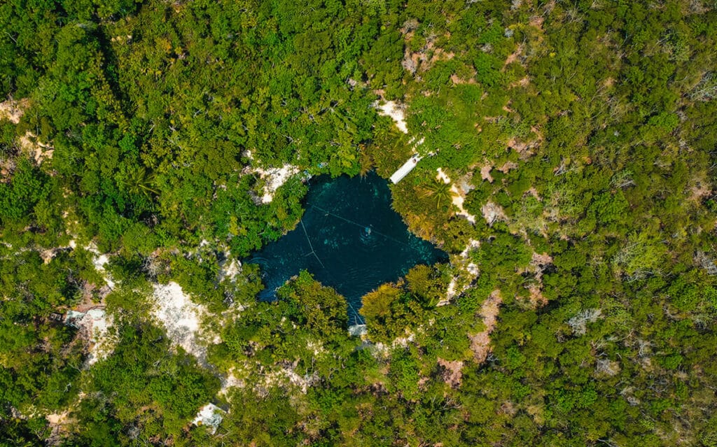 What Are Cenotes and How Can You Visit Them in Cancun?