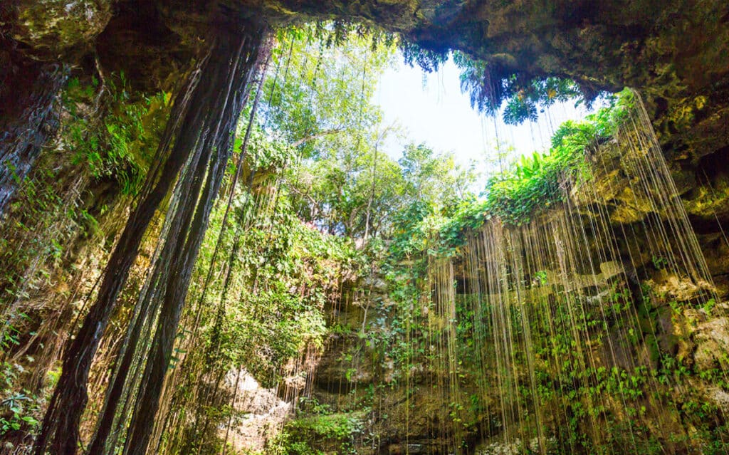 What Are Cenotes and How Can You Visit Them in Cancun?