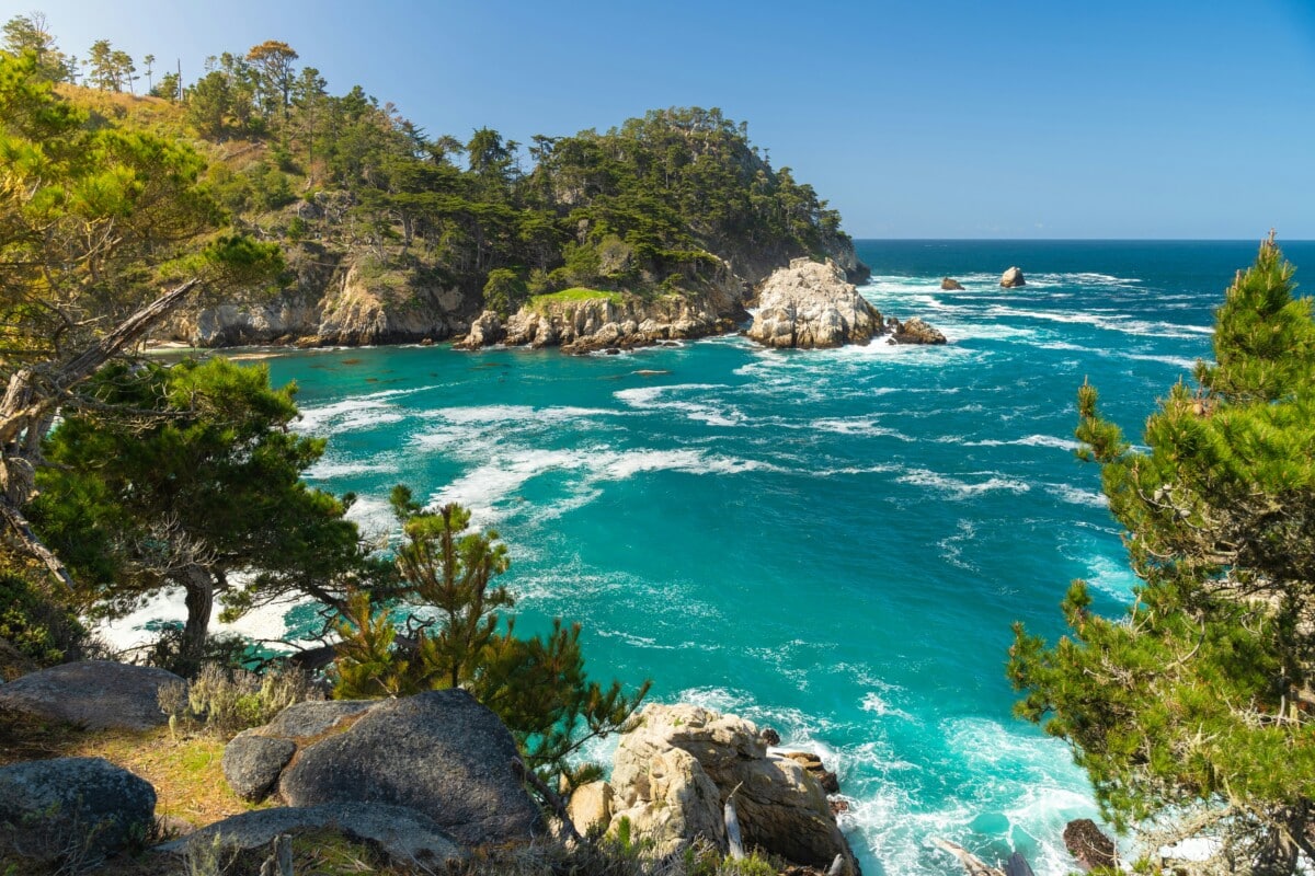 Ultimate Guide to Visiting Point Lobos State Natural Reserve in 2024