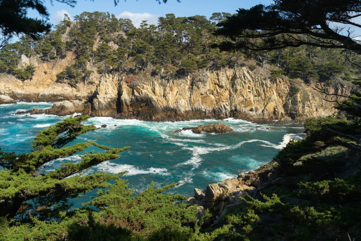 Ultimate Guide to Visiting Point Lobos State Natural Reserve in 2024