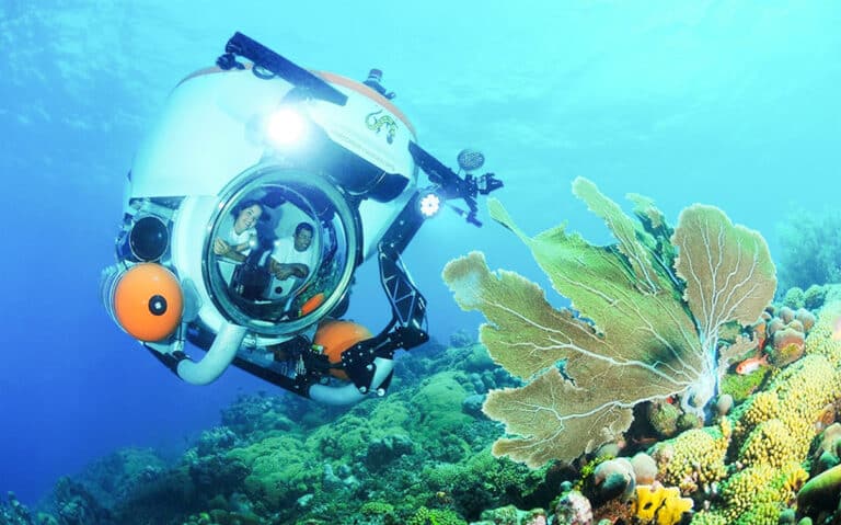 Curacao's Best-Kept Secrets: What to See, Do, and Taste
